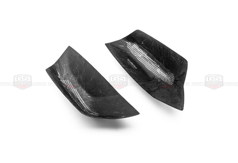 TANK GUARD pair - GS Carbotech
